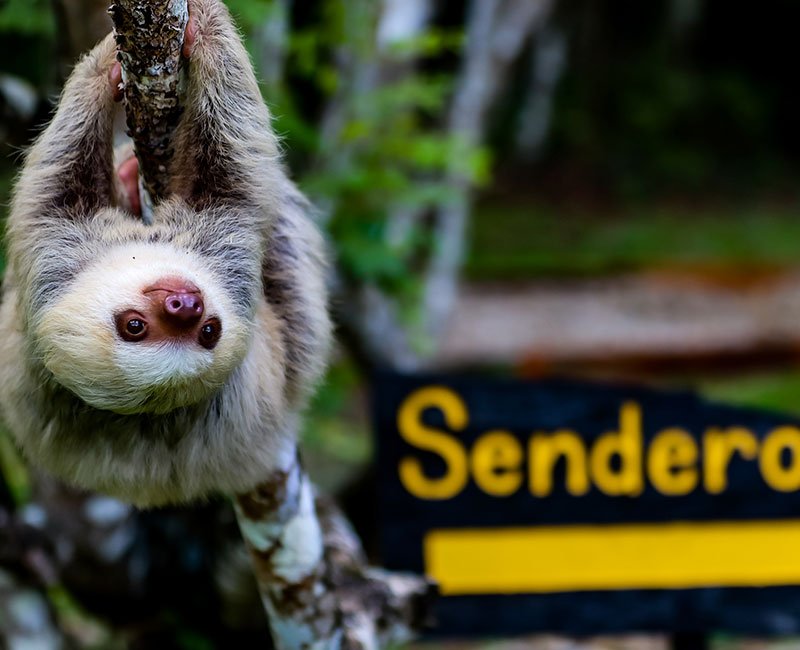 Tour Parque Natural Metropolitano | Senderismo y Aves en Ciudad de ...